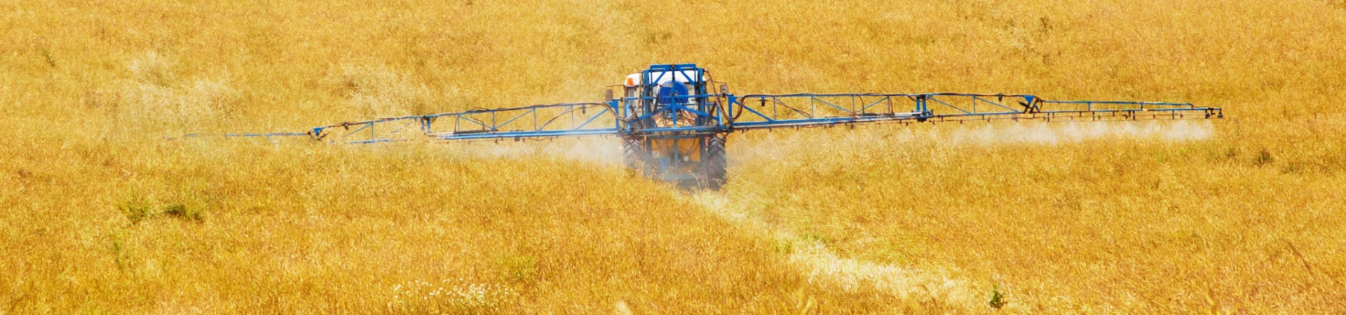 Un OGM, c’est quoi ? Définition et enjeux | Tilt