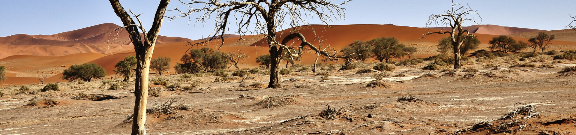 La désertification, cette conséquence de notre passage | Tilt
