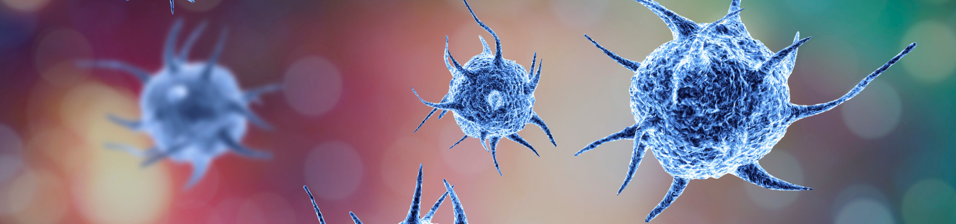 Zoonoses : comprendre ces maladies transmissibles | Tilt